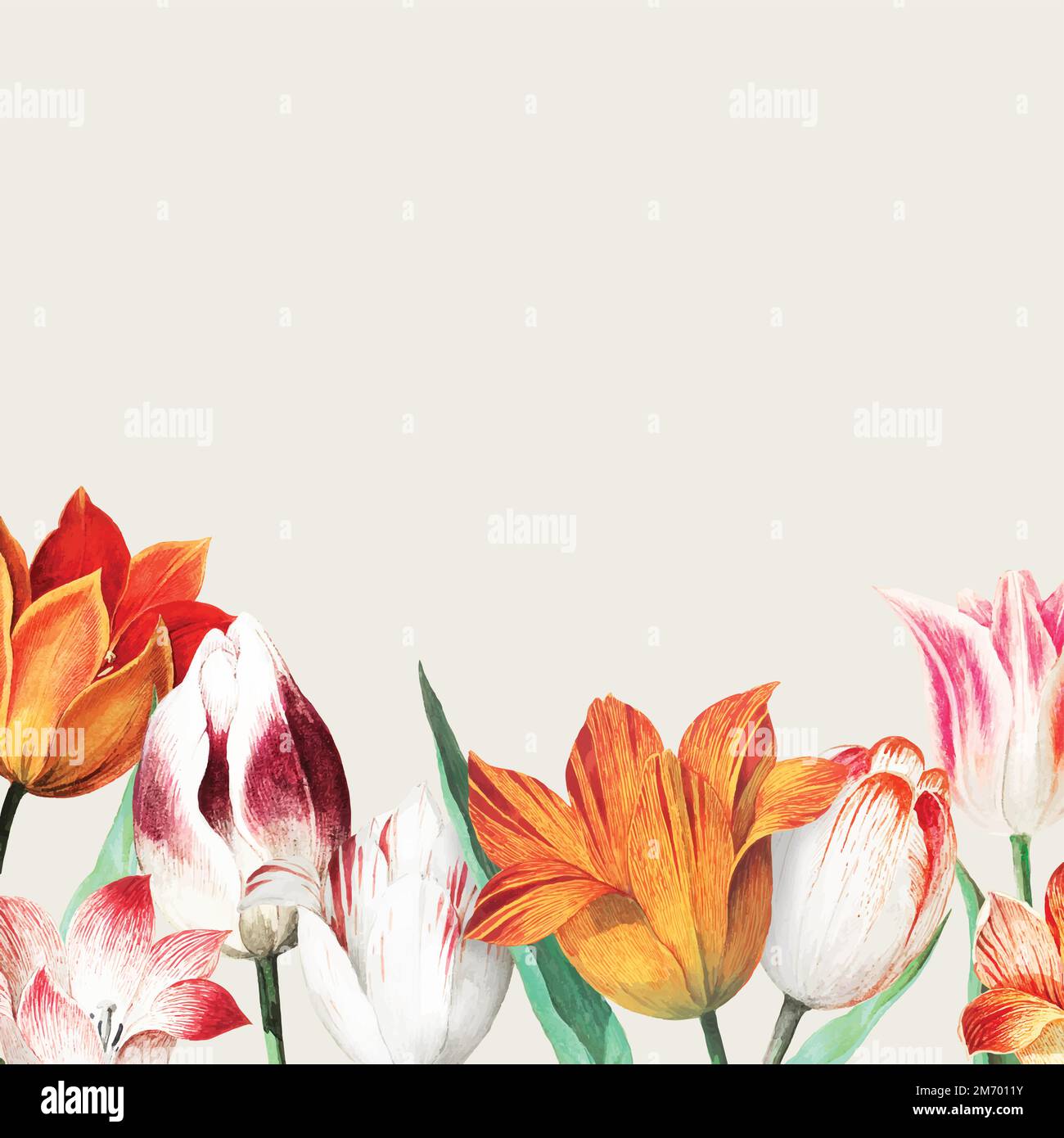 Holland dutch bulb field Stock Vector Images - Alamy