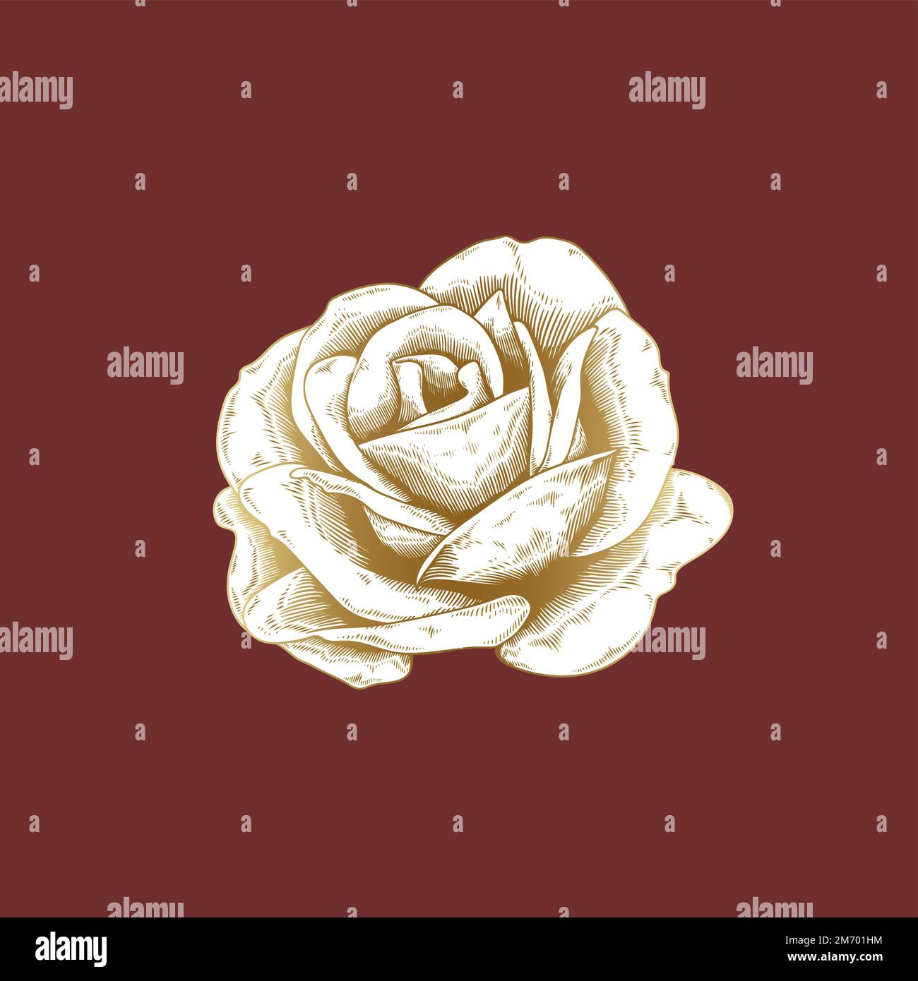 Hand drawn rose on red background vector Stock Vector Image & Art - Alamy