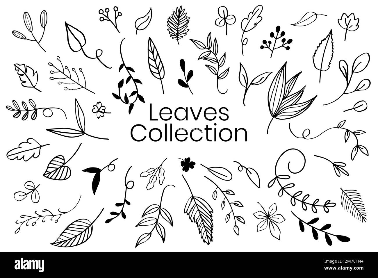 Various leaves doodle collection vector Stock Vector Image & Art - Alamy