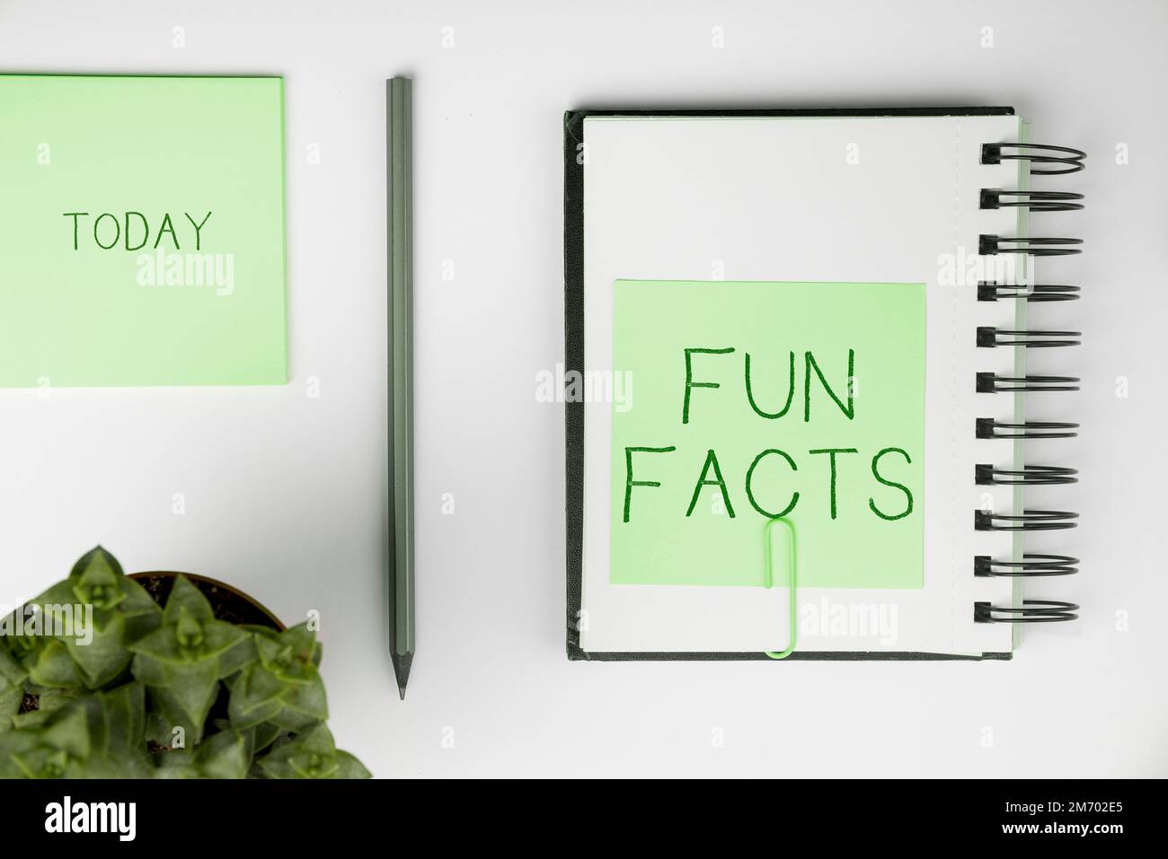 Conceptual display Fun Facts. Concept meaning short interesting trivia ...