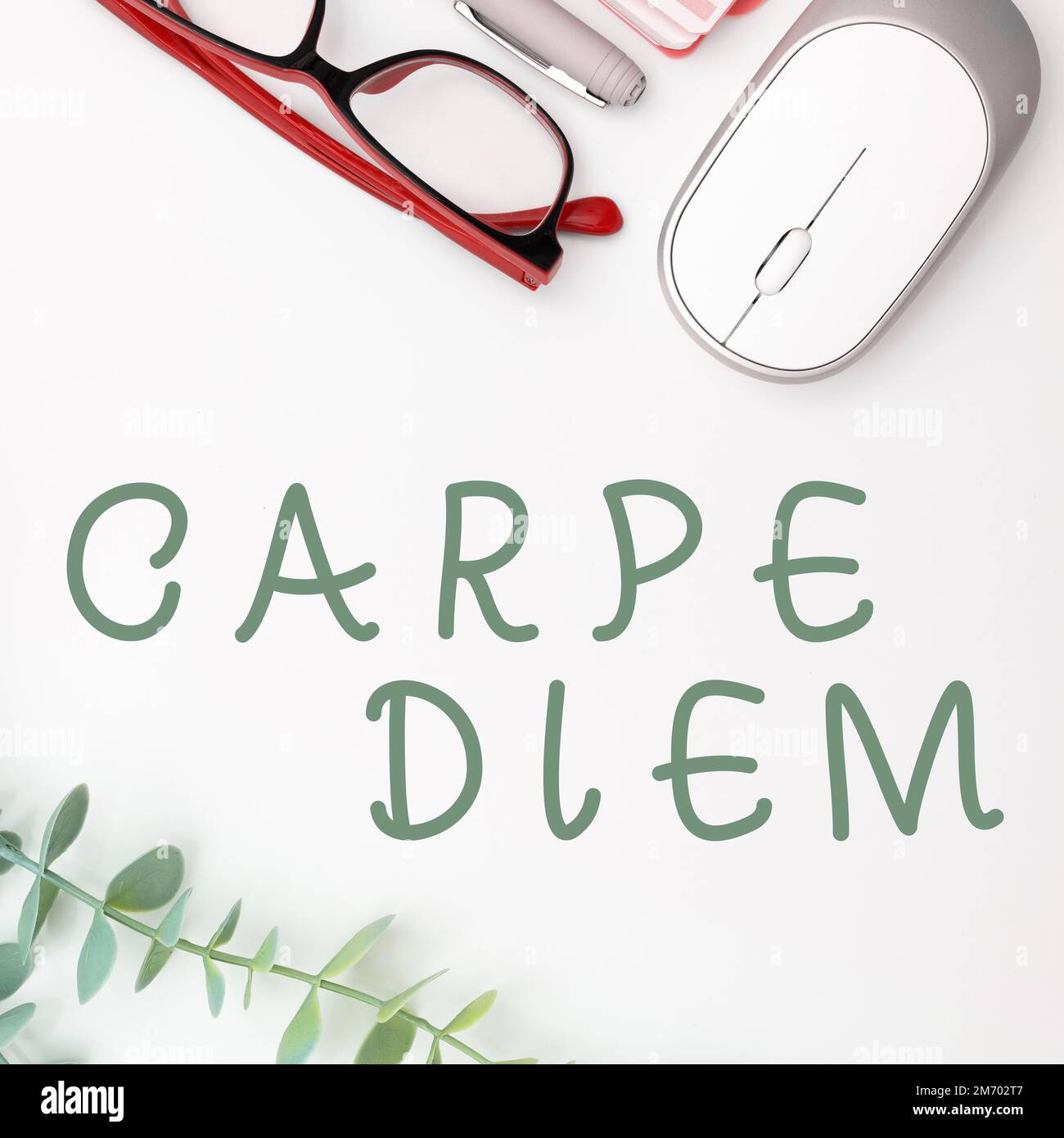 Sign displaying Carpe Diem. Word for public festival which people play ...