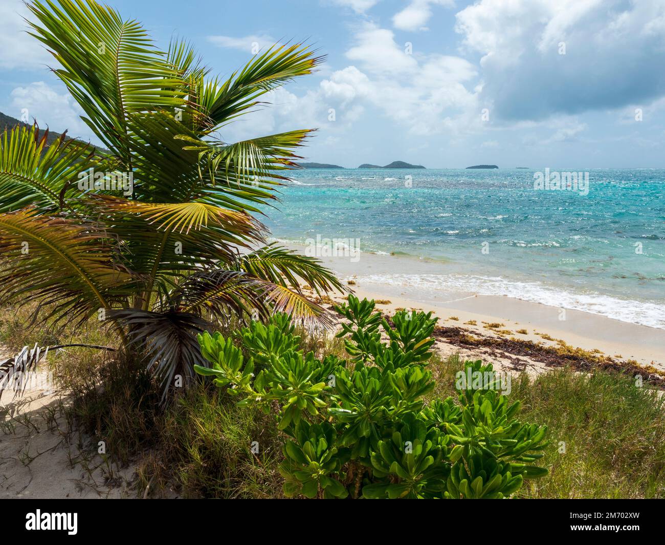 Mayreau, Grenadines, Caribbean island. Windward Bay Stock Photo - Alamy