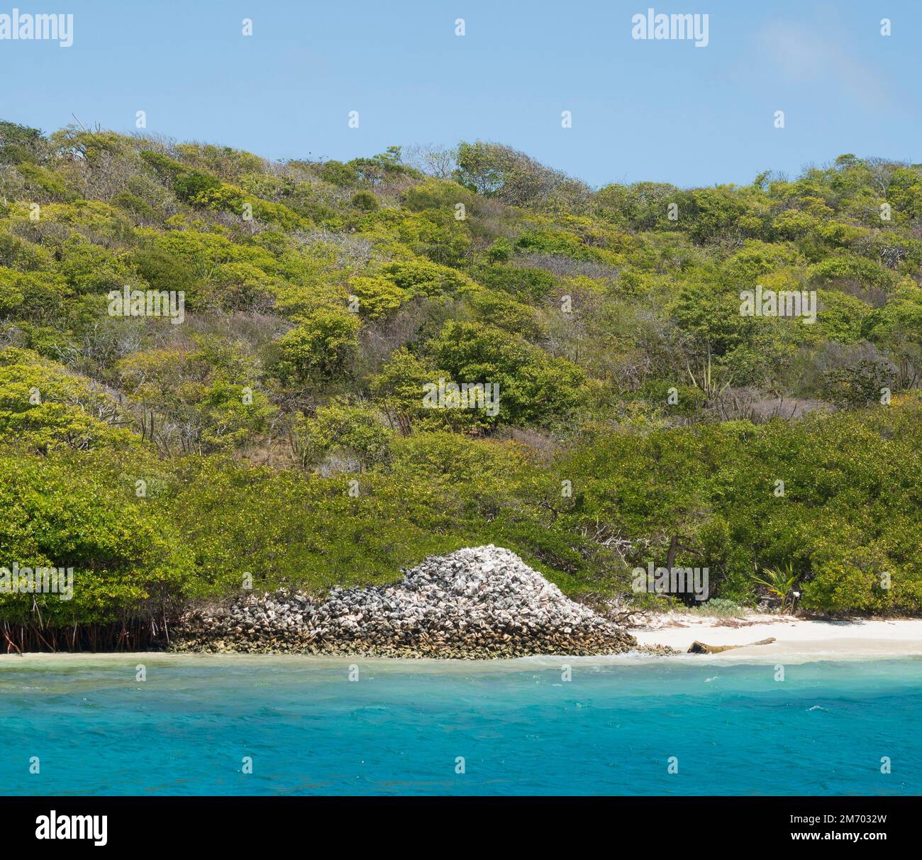Tobago Cays, Grenadines, Caribbean. Turtle reserve and snorkelling ...