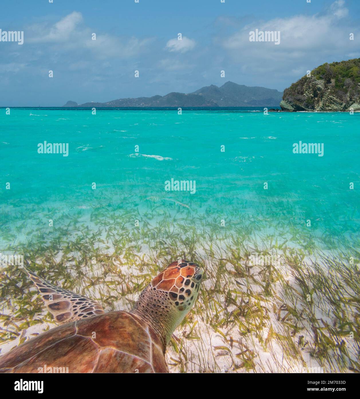 Togabo cays hi-res stock photography and images - Alamy