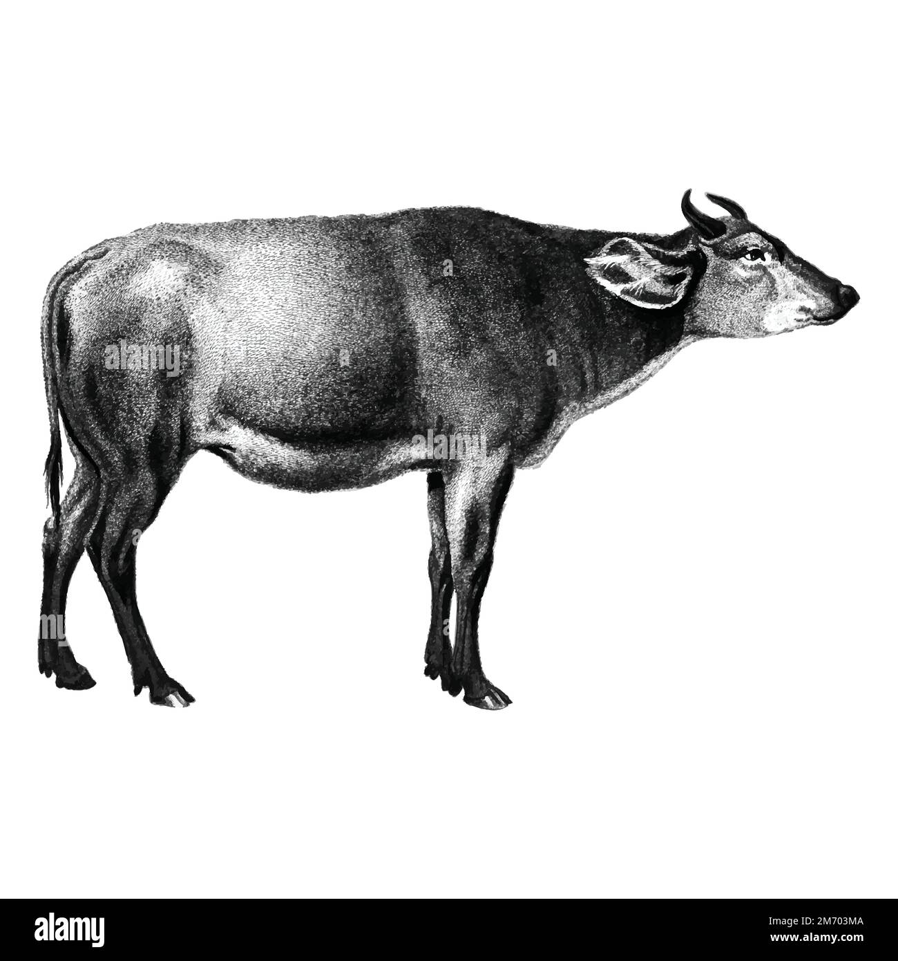 Vintage illustrations farm Stock Vector Images - Alamy