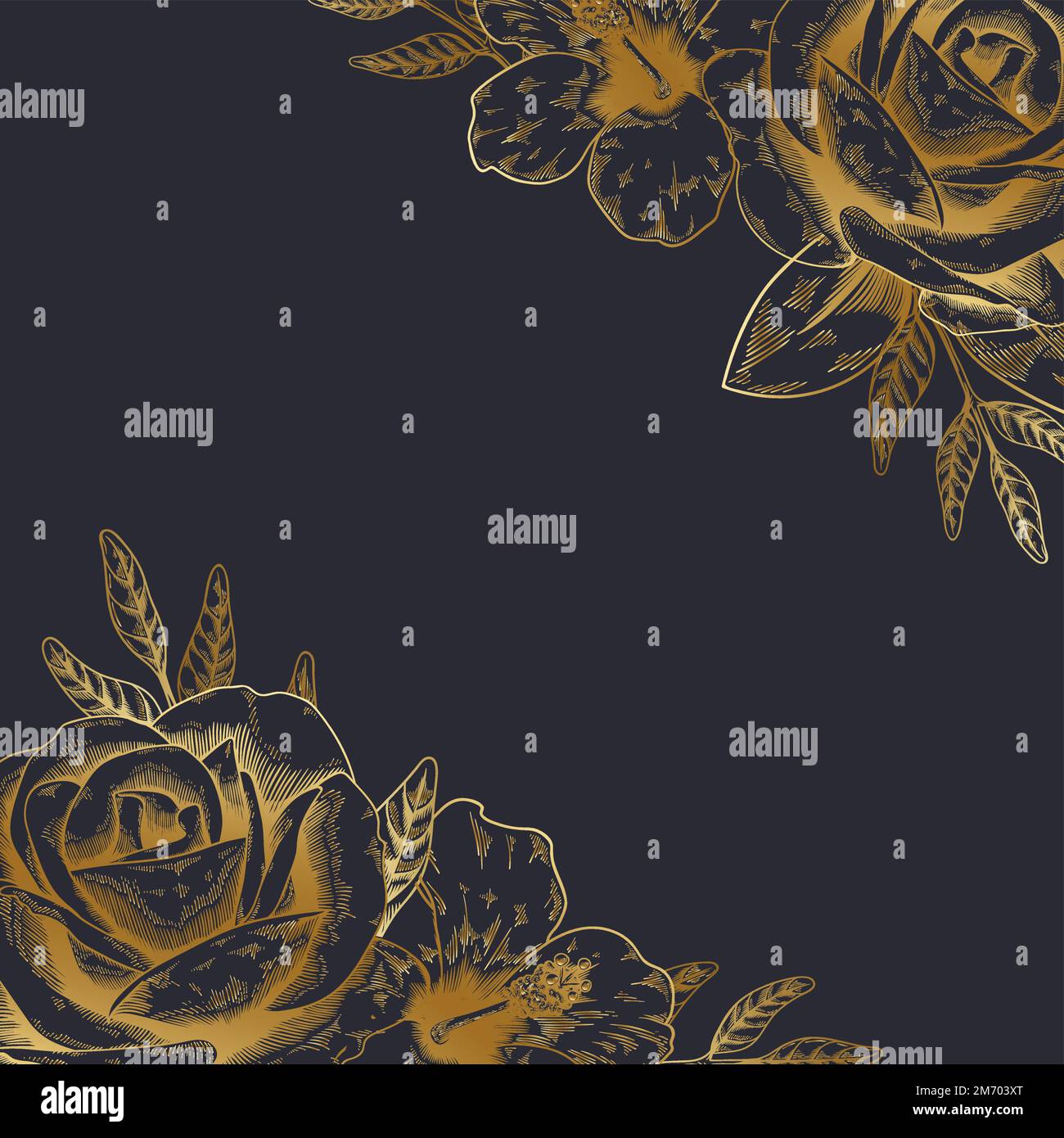 Hand drawn rose framed background vector Stock Vector Image & Art - Alamy