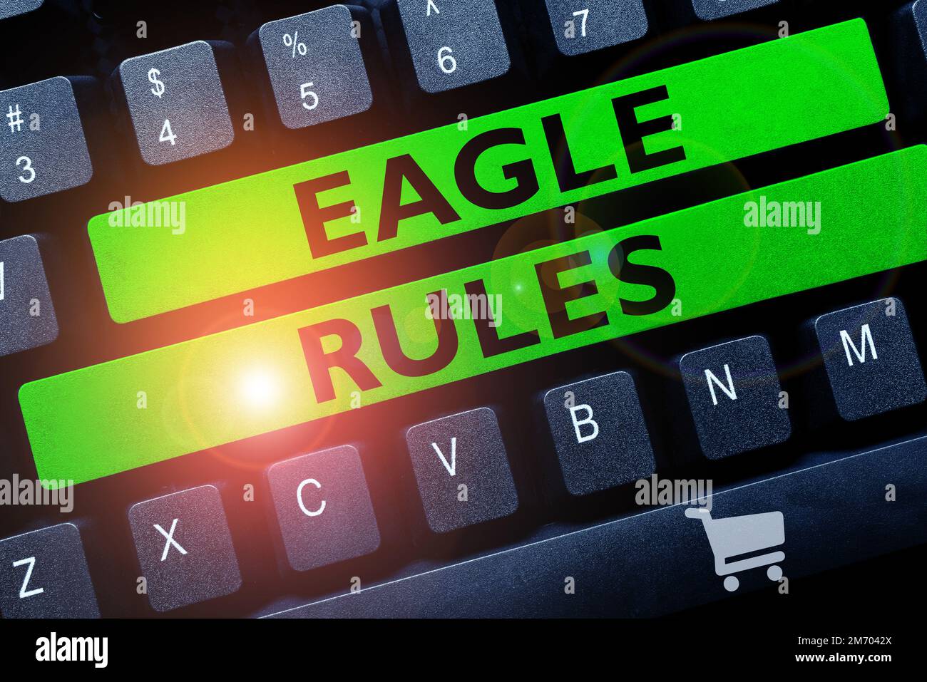Text caption presenting Eagle Rules. Concept meaning a huge set of ...