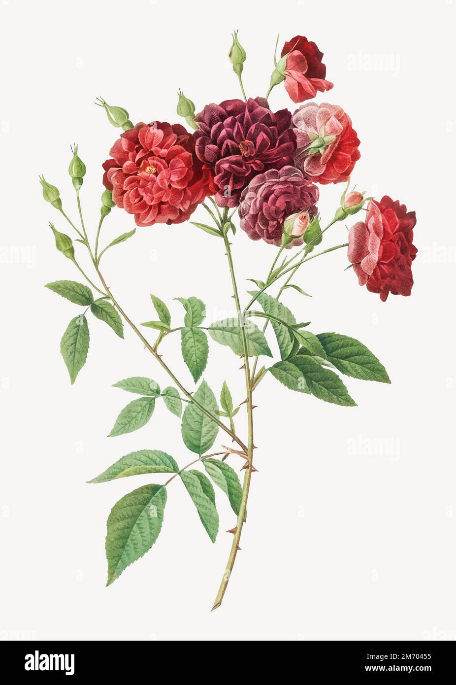 Red violet ink Stock Vector Images - Alamy