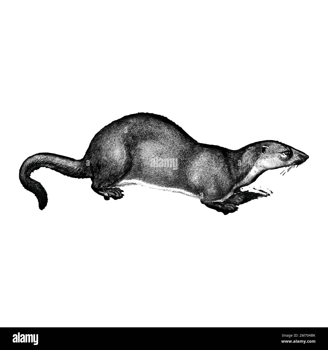 European 1892 Cut Out Stock Images & Pictures - Alamy