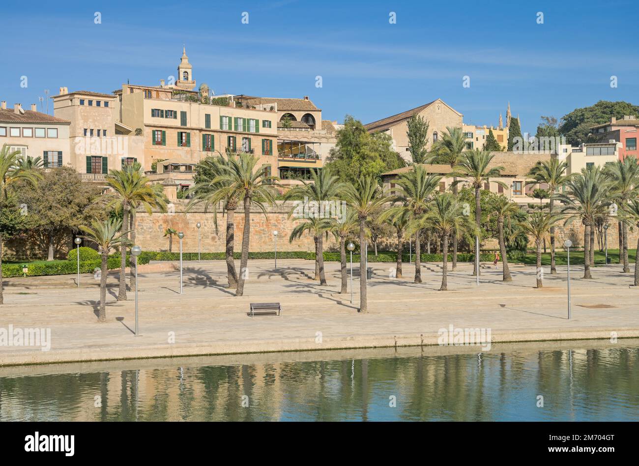 Palmen, Parc de la Mar, Palma, Mallorca, Spanien Stock Photo - Alamy