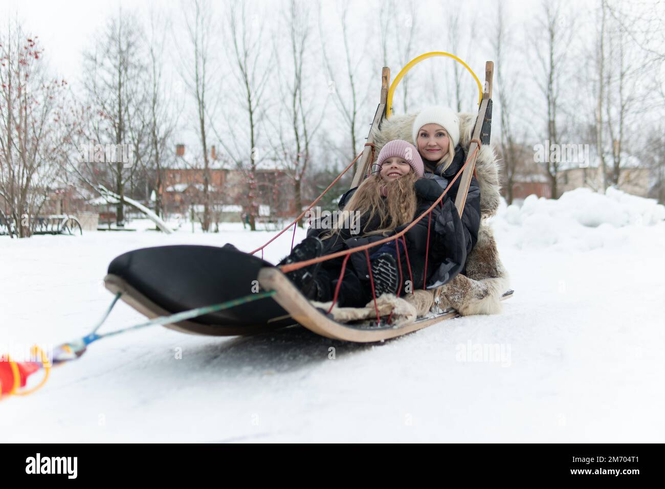 dog team sledge sled winter snow competition running teamwork cold ...
