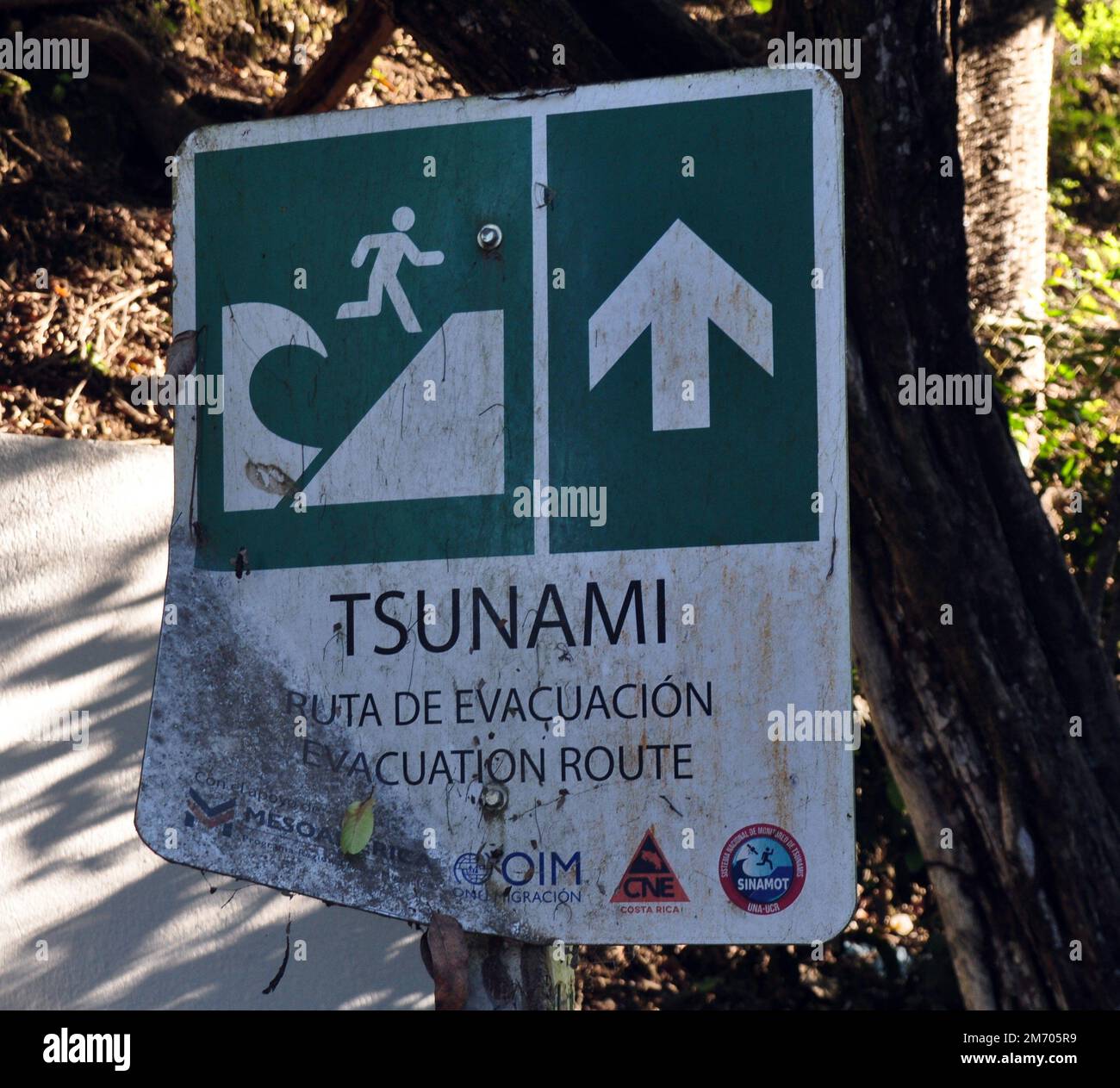 Tsunami Evacuation Route Sign Stock Photo - Alamy