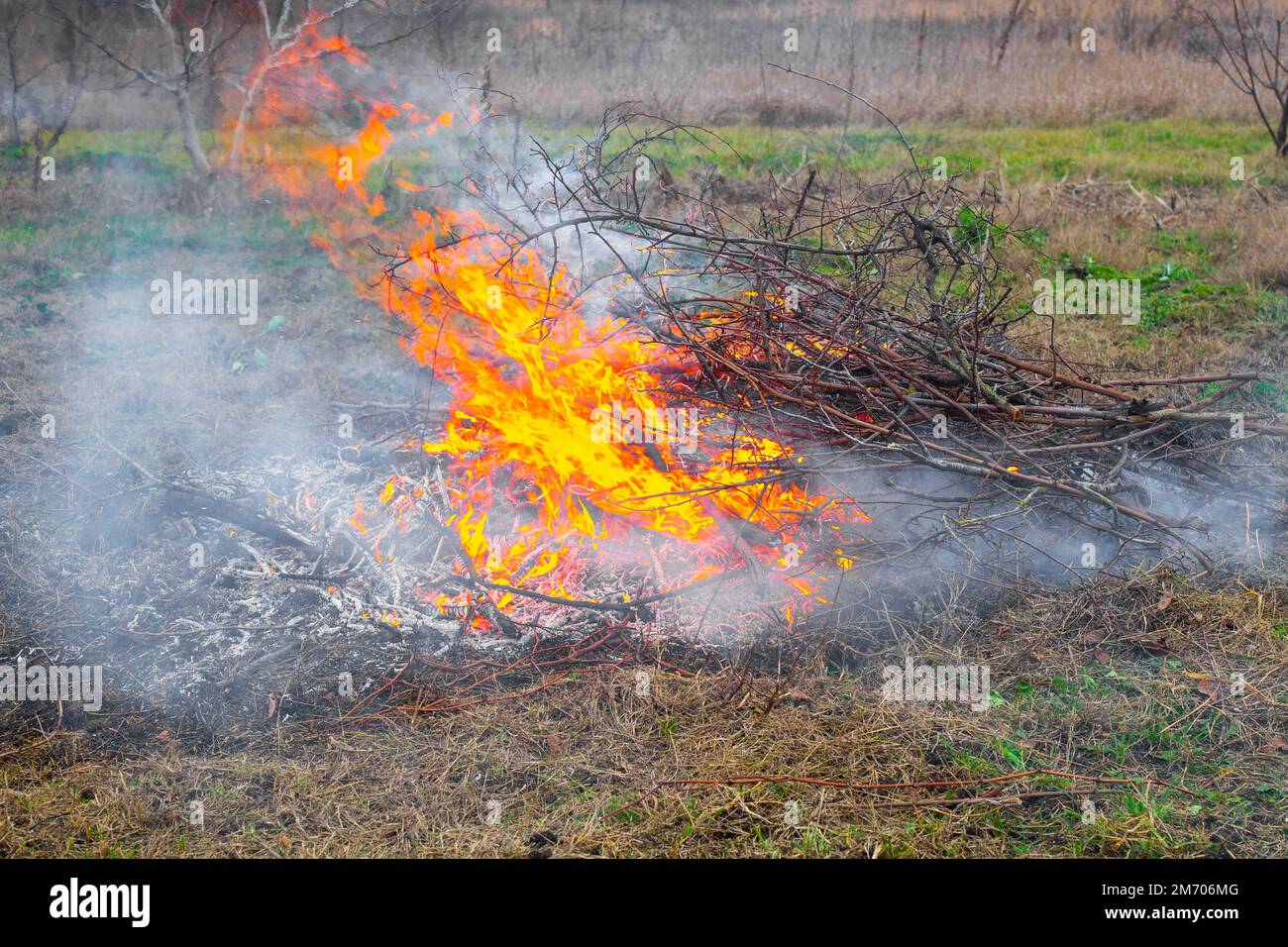 Burning dry twigs in the field. fire and the smoke of the fire Stock ...