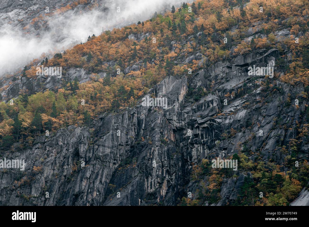 A misty rock face with orange and green trees and bushes Stock Photo ...
