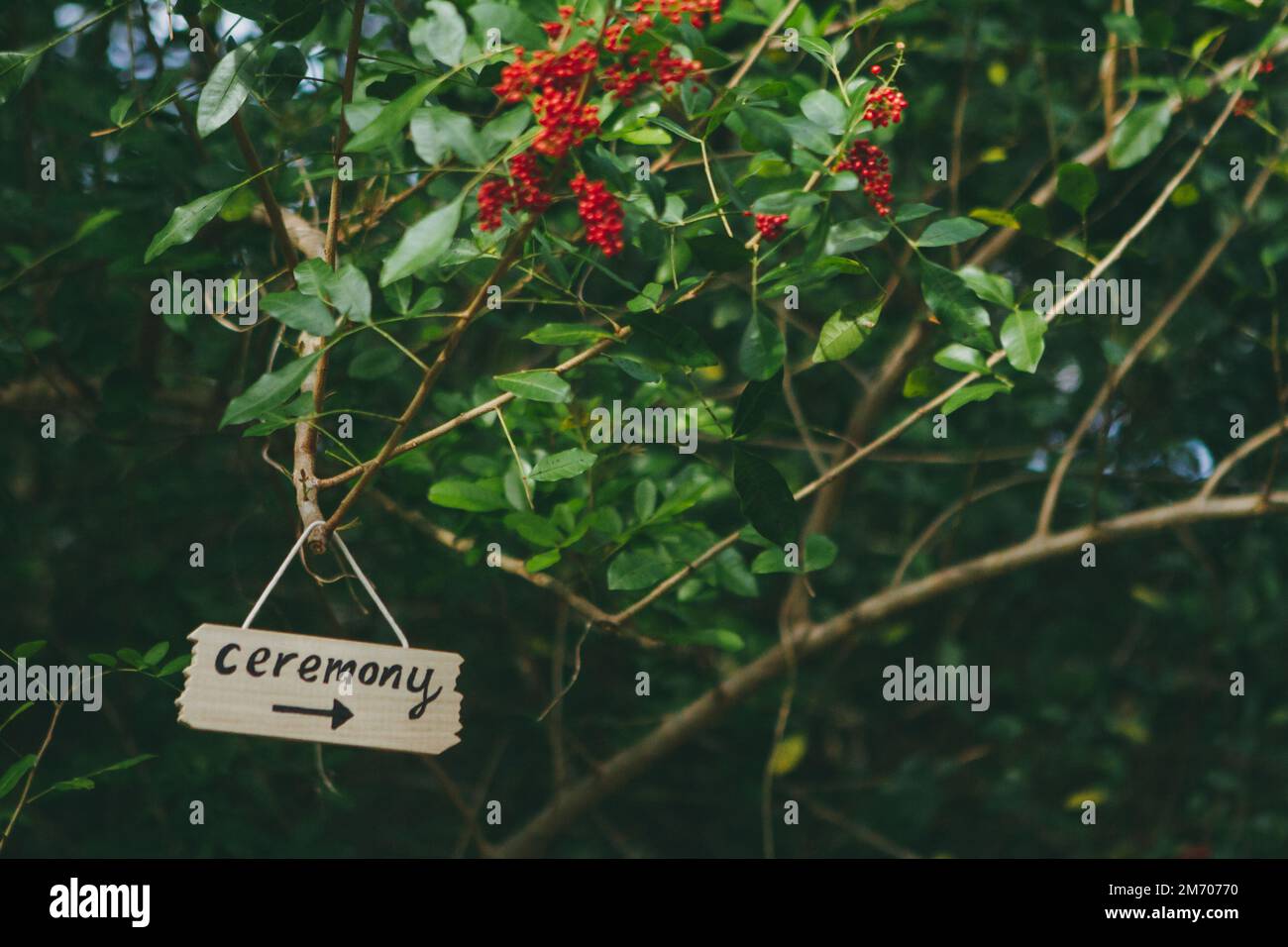 Wedding Ceremony Sign in a Tree Stock Photo - Alamy