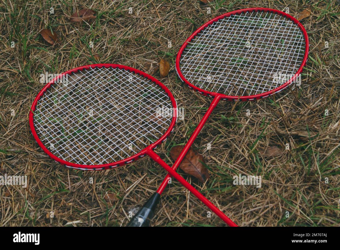 Red badminton rackets in the grass at backyard wedding reception Stock ...