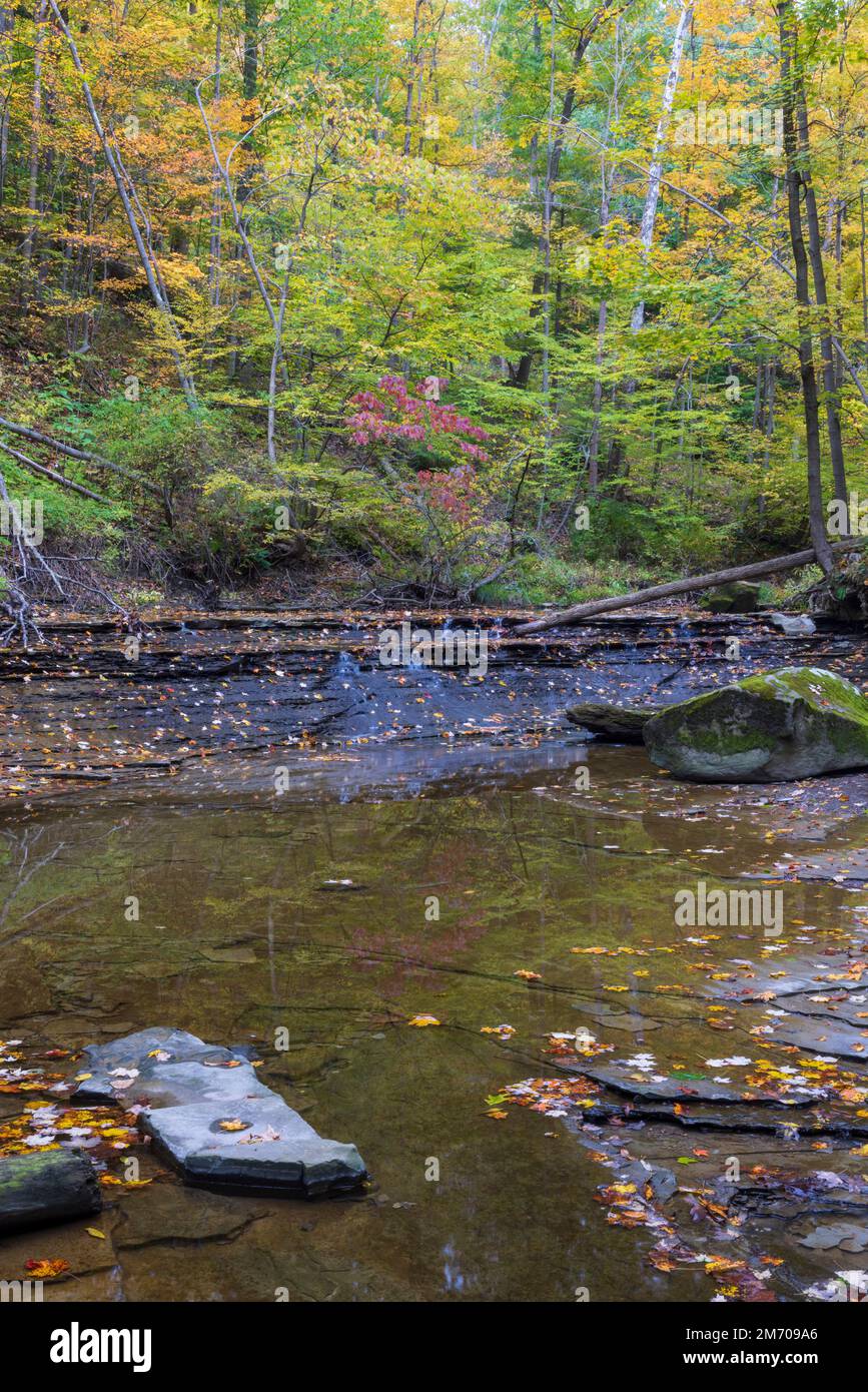 Bridal Veil Falls with fall colors in Cuyahoga Valley National Park, Ohio Stock Photo - Alamy