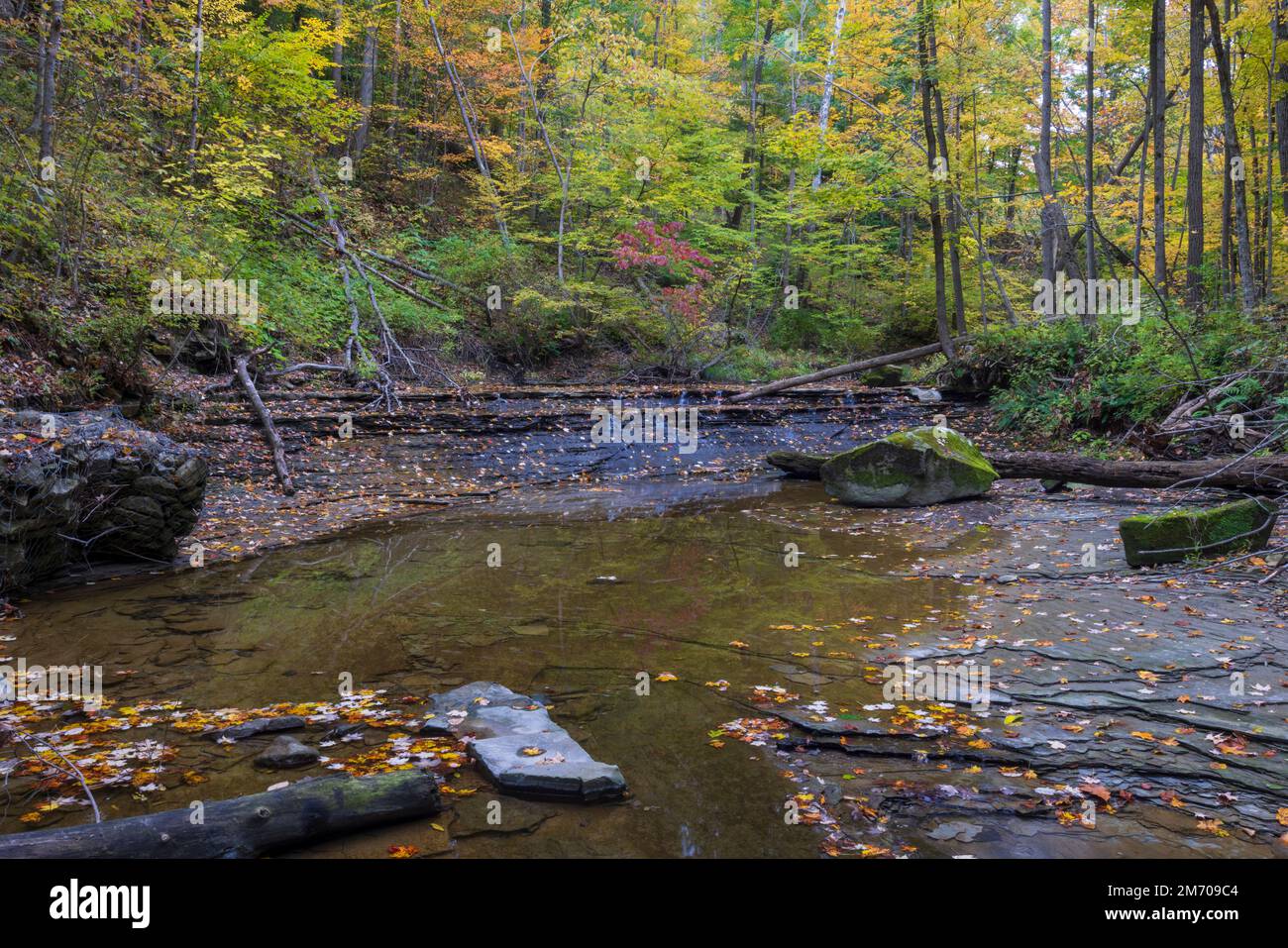 Bridal Veil Falls with fall colors in Cuyahoga Valley National Park, Ohio Stock Photo - Alamy