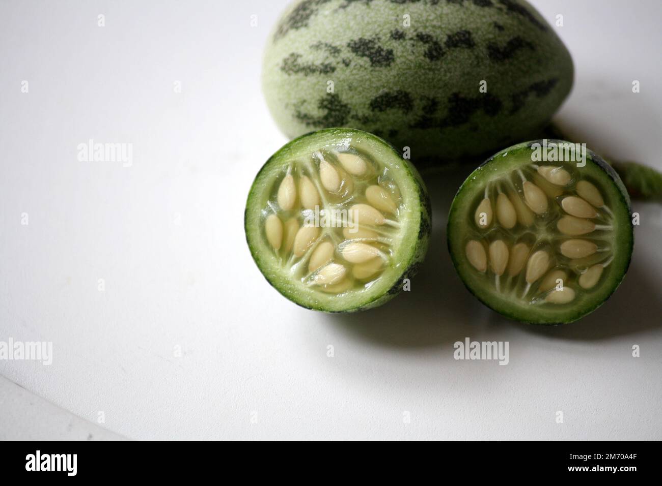 Prickly paddy melon (Cucumis myriocarpus) a small green fruit with dark ...