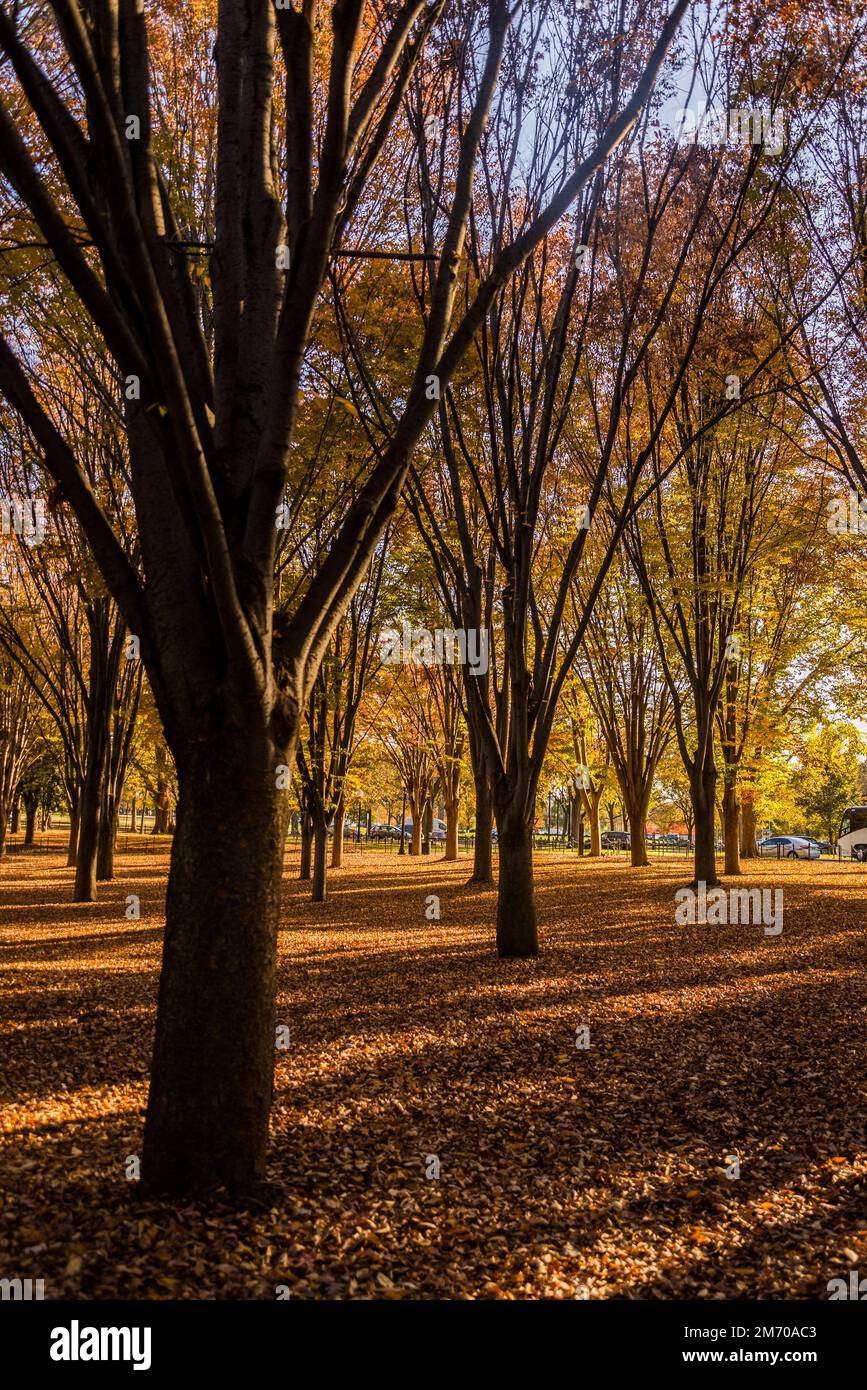East potomac park in hi-res stock photography and images - Alamy