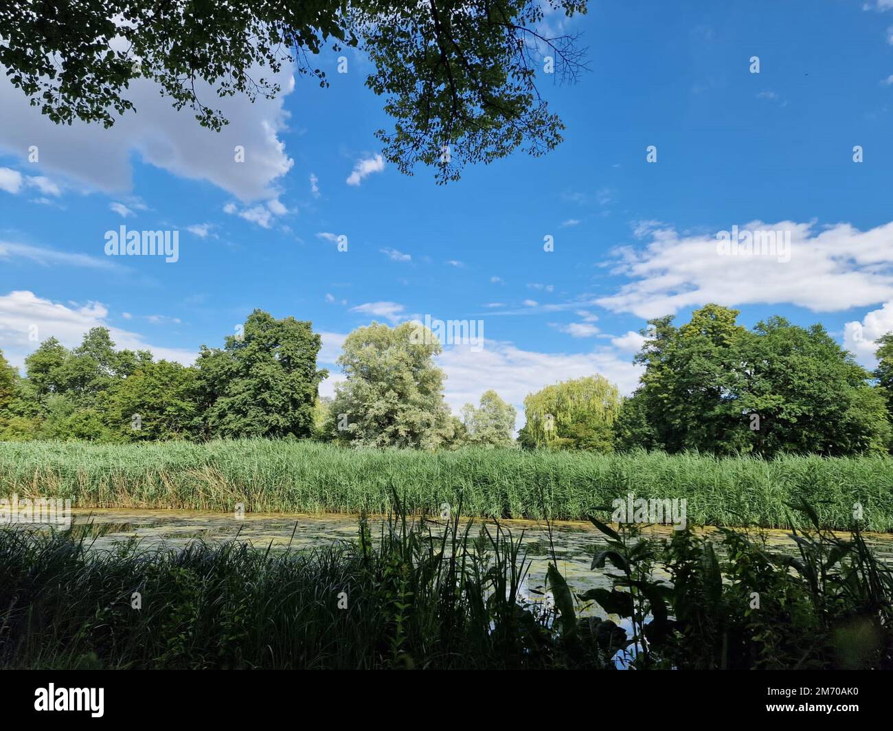 an amazing perspective of farmland and nature Stock Photo - Alamy