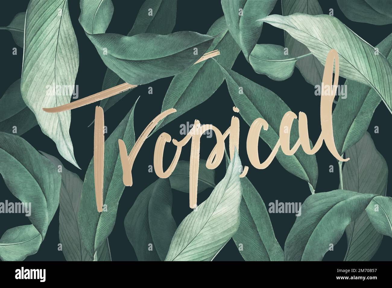 Hand Drawn Tropical Leaves Background Vector Stock Vector Image And Art