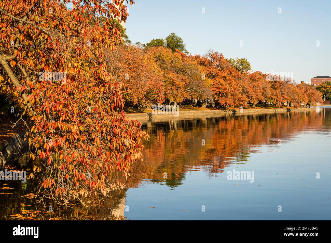 West Potomac Park and Tidal Basin in autumn, Washington, D.C., USA ...