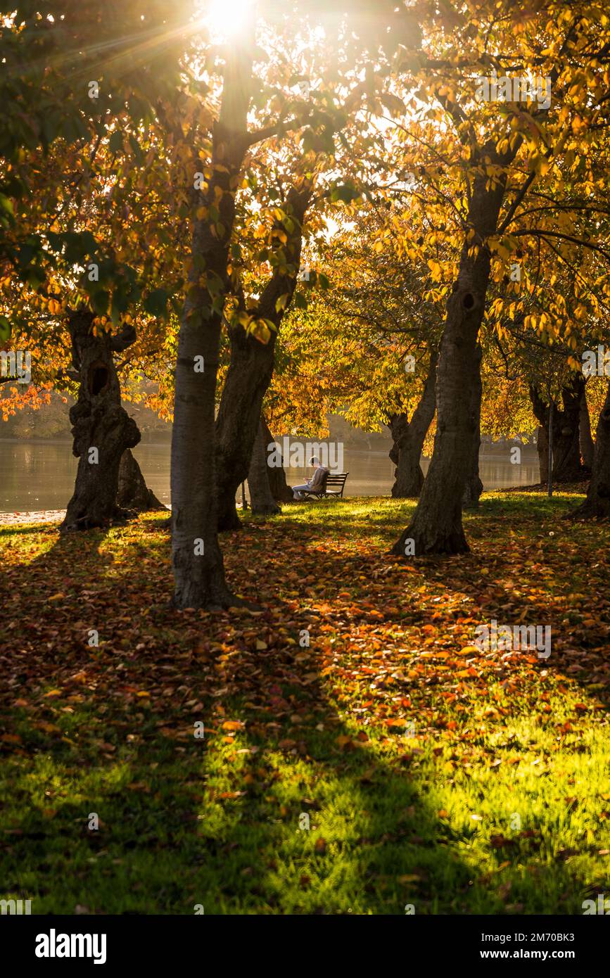 East potomac park washington dc hi-res stock photography and images - Alamy