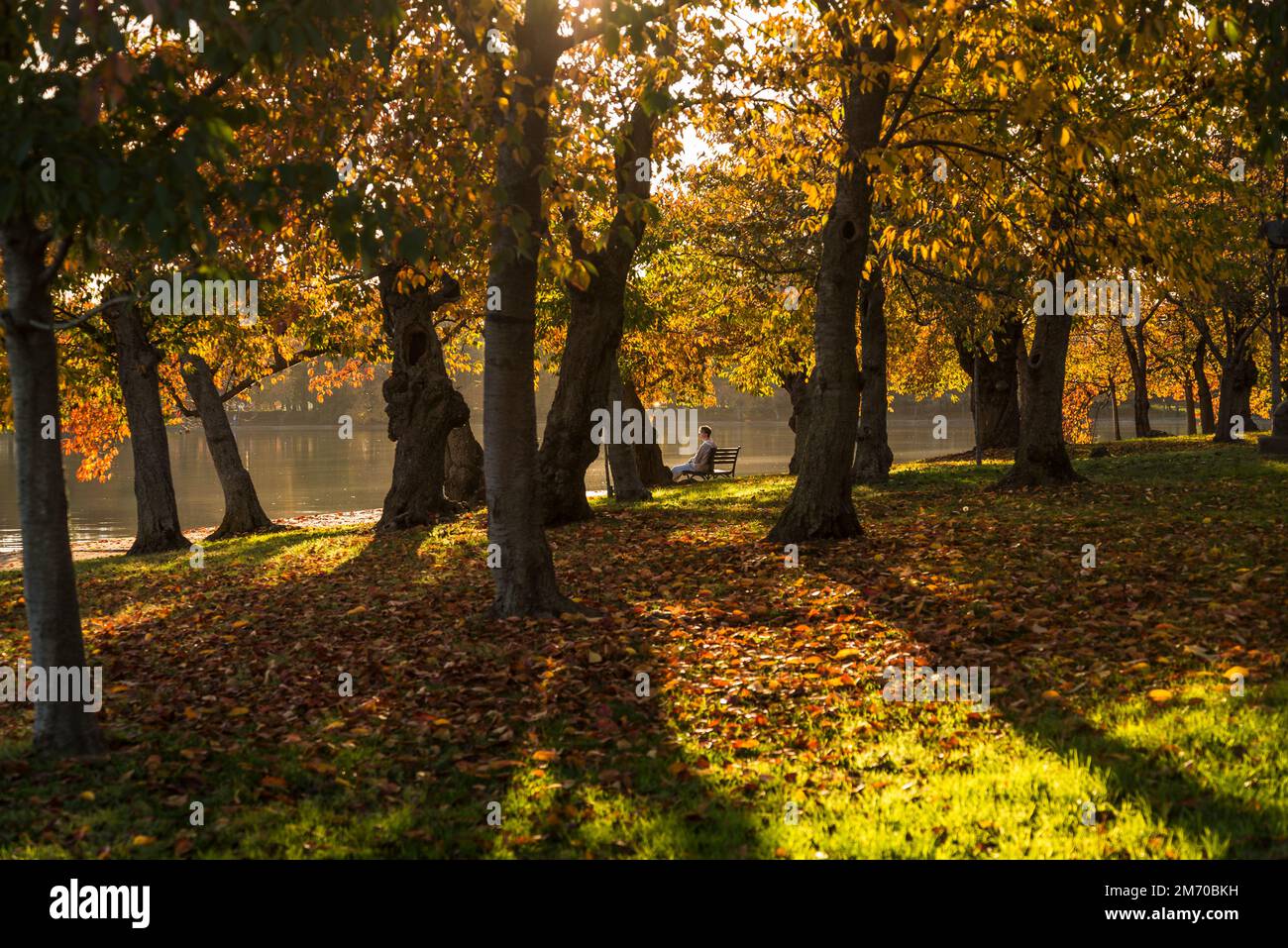 East potomac park washington dc hi-res stock photography and images - Alamy
