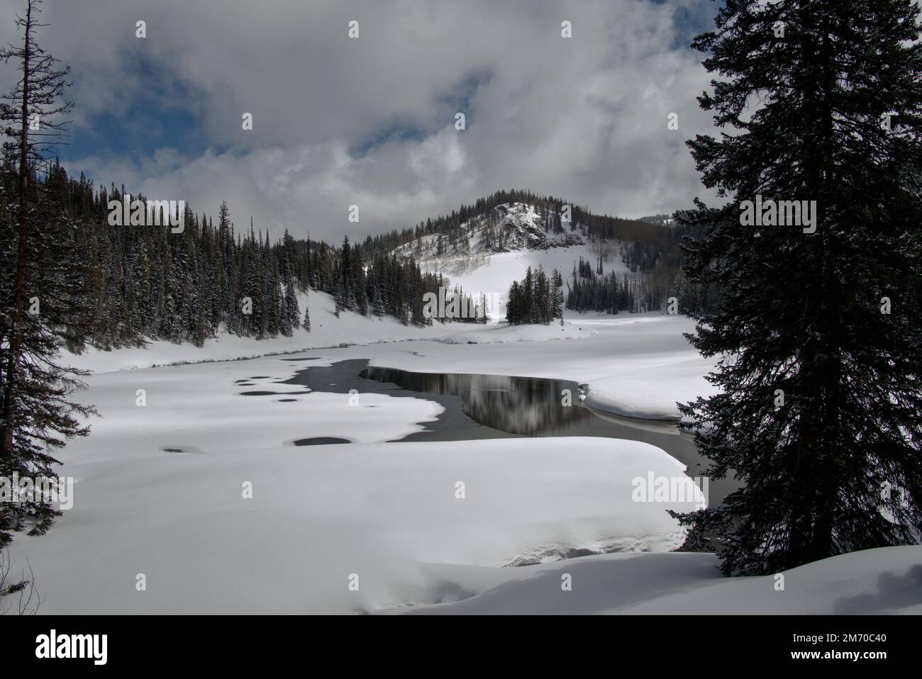 Sigma 19mm f 2 8 dn art hi-res stock photography and images - Alamy