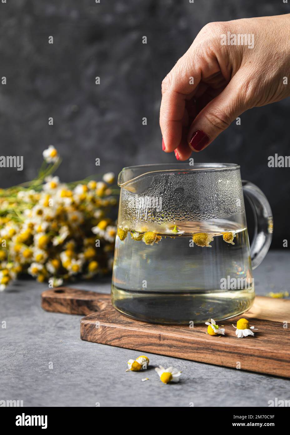 Woman's hand pouring organic camiìomile flowers to make a tisane Stock ...