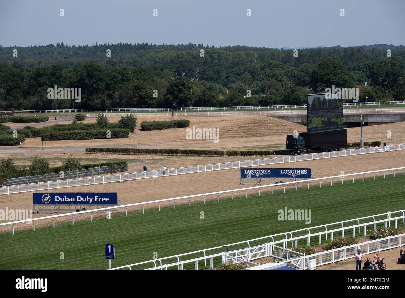 Ascot, Berkshire, UK. 6th August, 2022. The contrast of the green ...