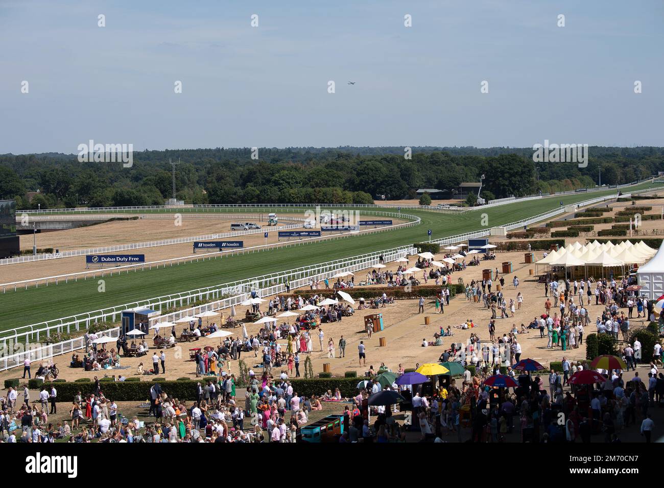 Ascot, Berkshire, UK. 6th August, 2022. The contrast of the green ...