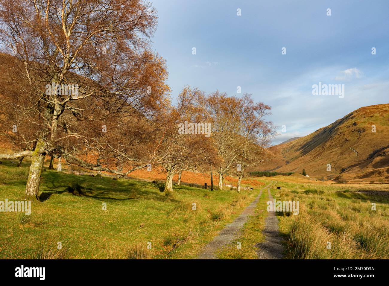 Gravel road through the Inverinate Estate, Scotland Stock Photo - Alamy