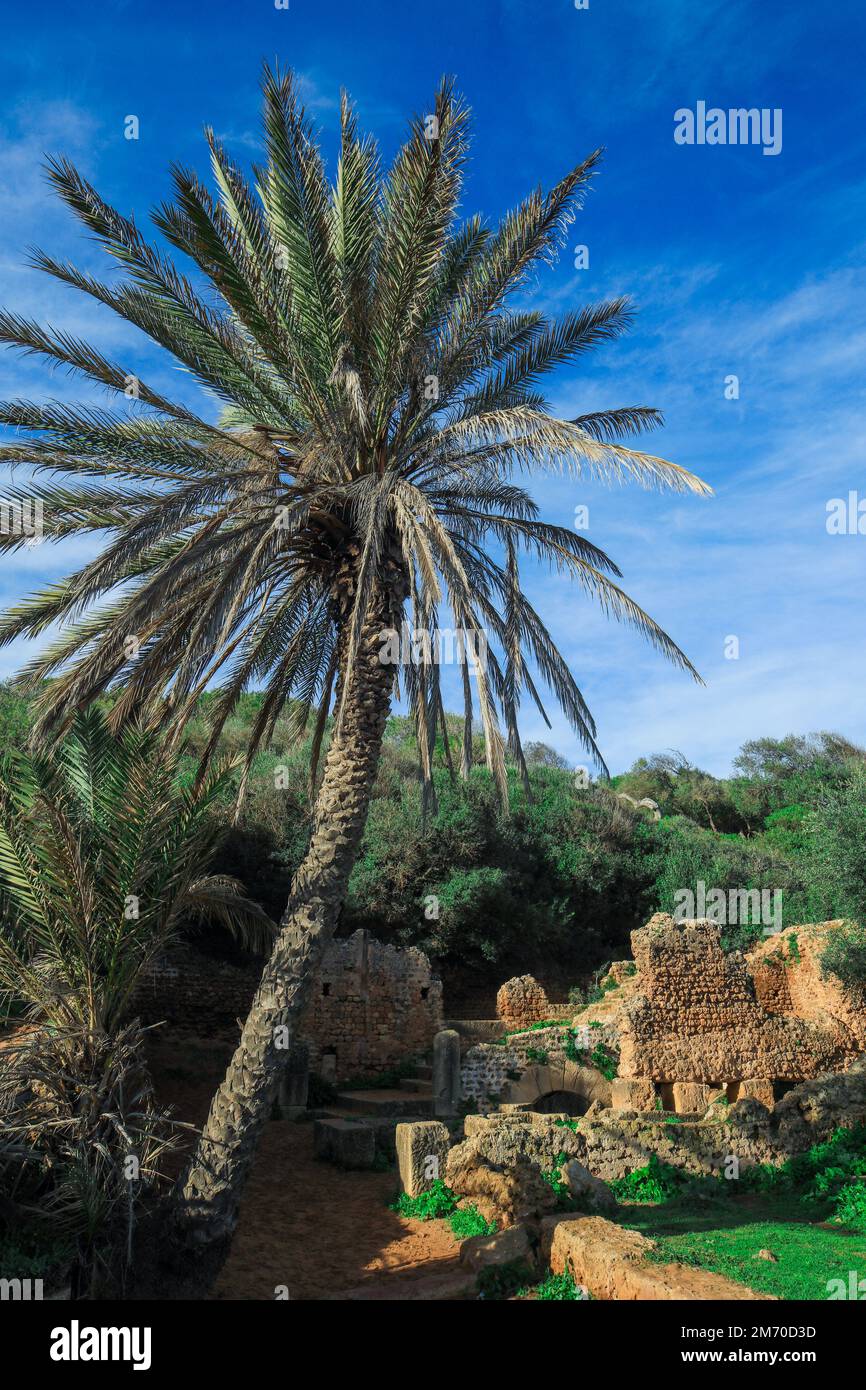 Ancient Ruins of Roman Tipasa with the Nice View to the Mediterranean ...