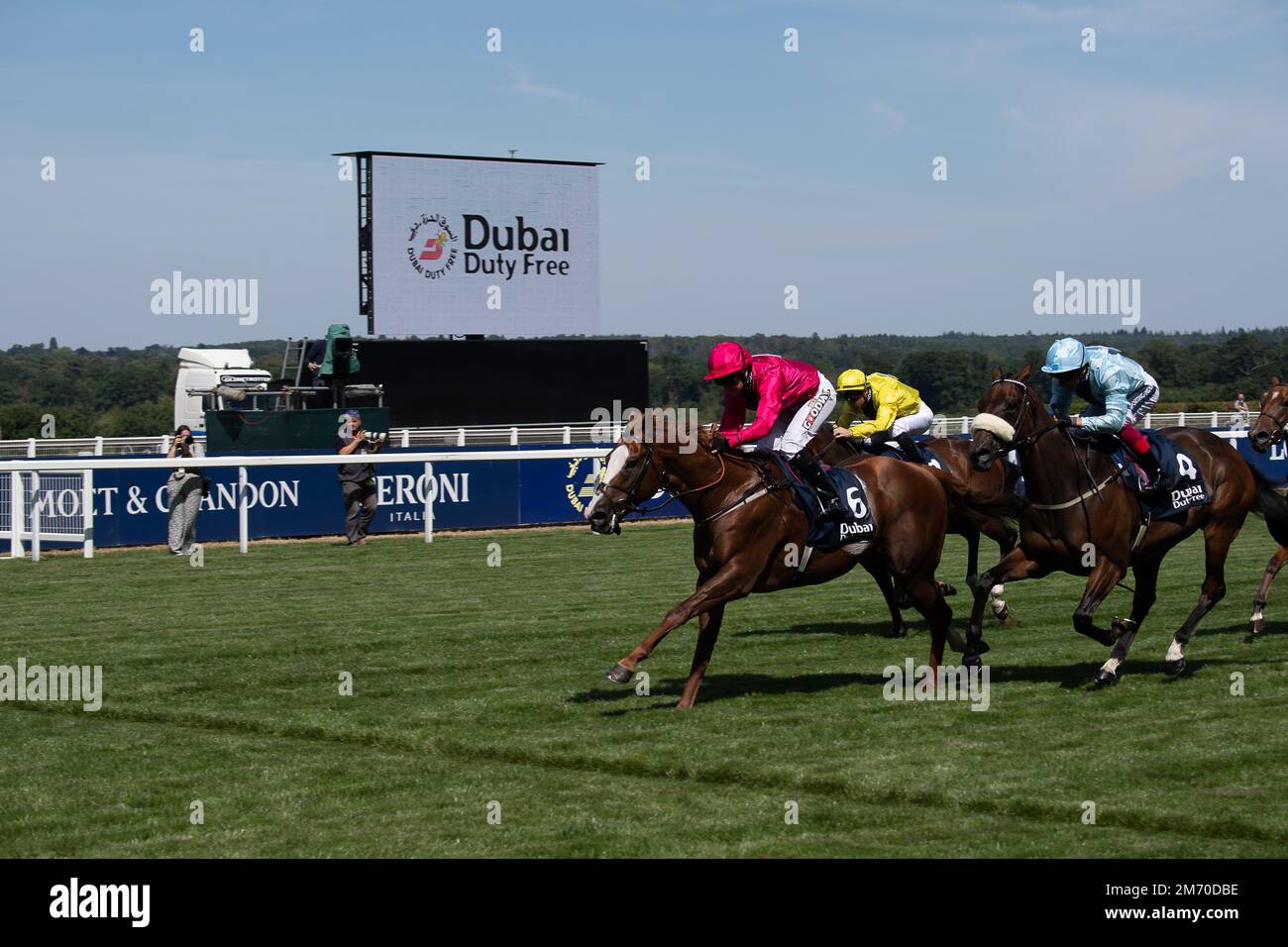 Shergar horse hi-res stock photography and images - Alamy