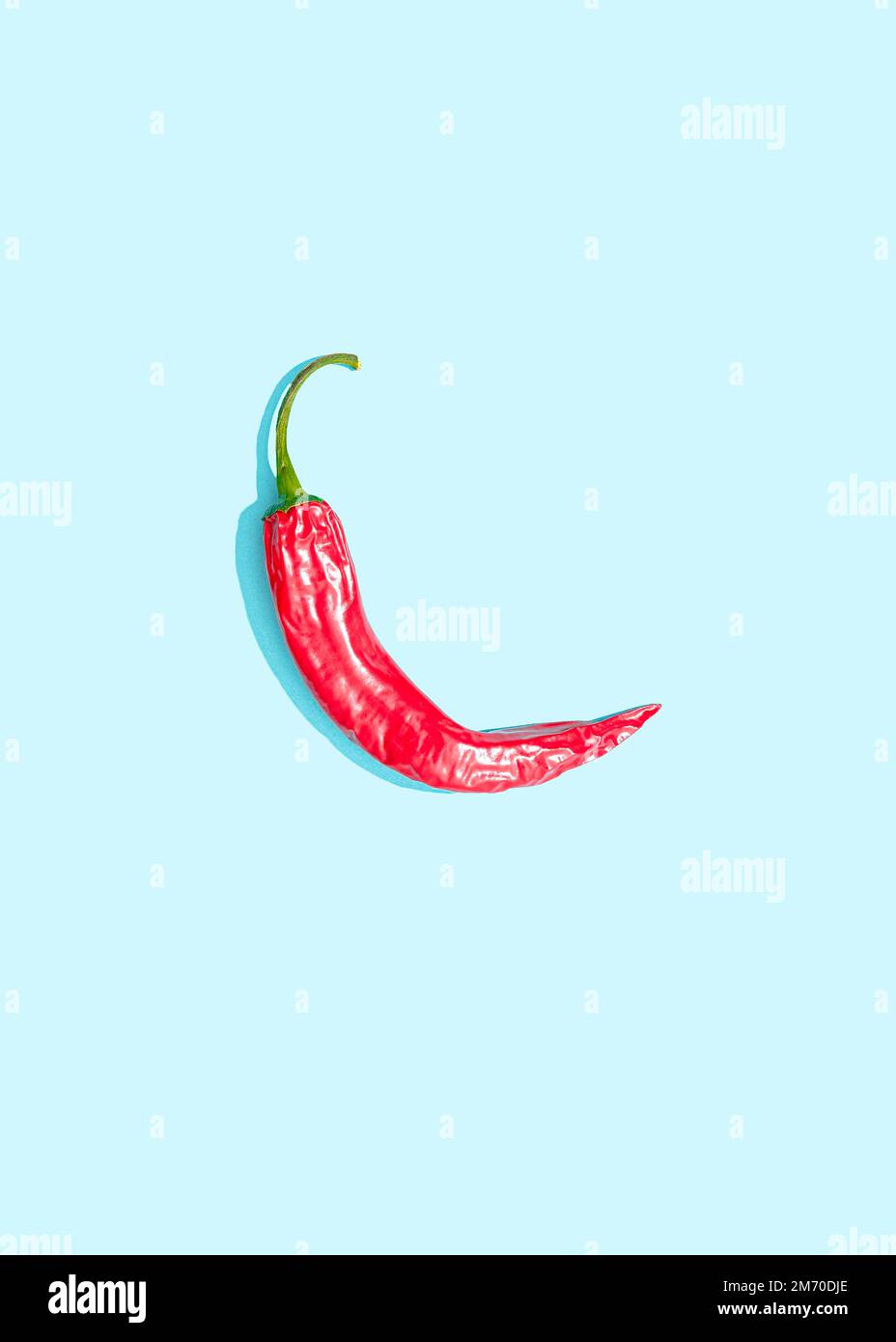 Single chilli pepper on blue background Stock Photo - Alamy