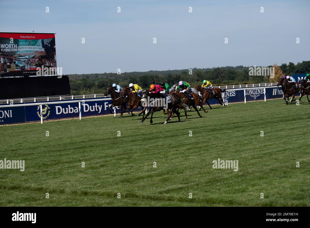 Ascot, Berkshire, UK. 6th August, 2022. Horse Jungle Cove ridden by ...