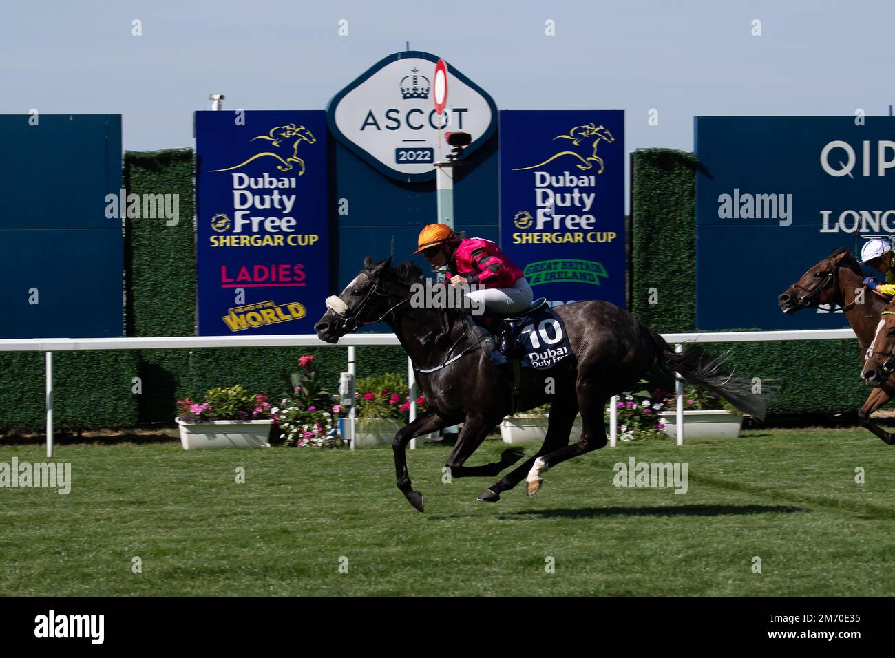 Ascot, Berkshire, UK. 6th August, 2022. Horse Jungle Cove ridden by ...