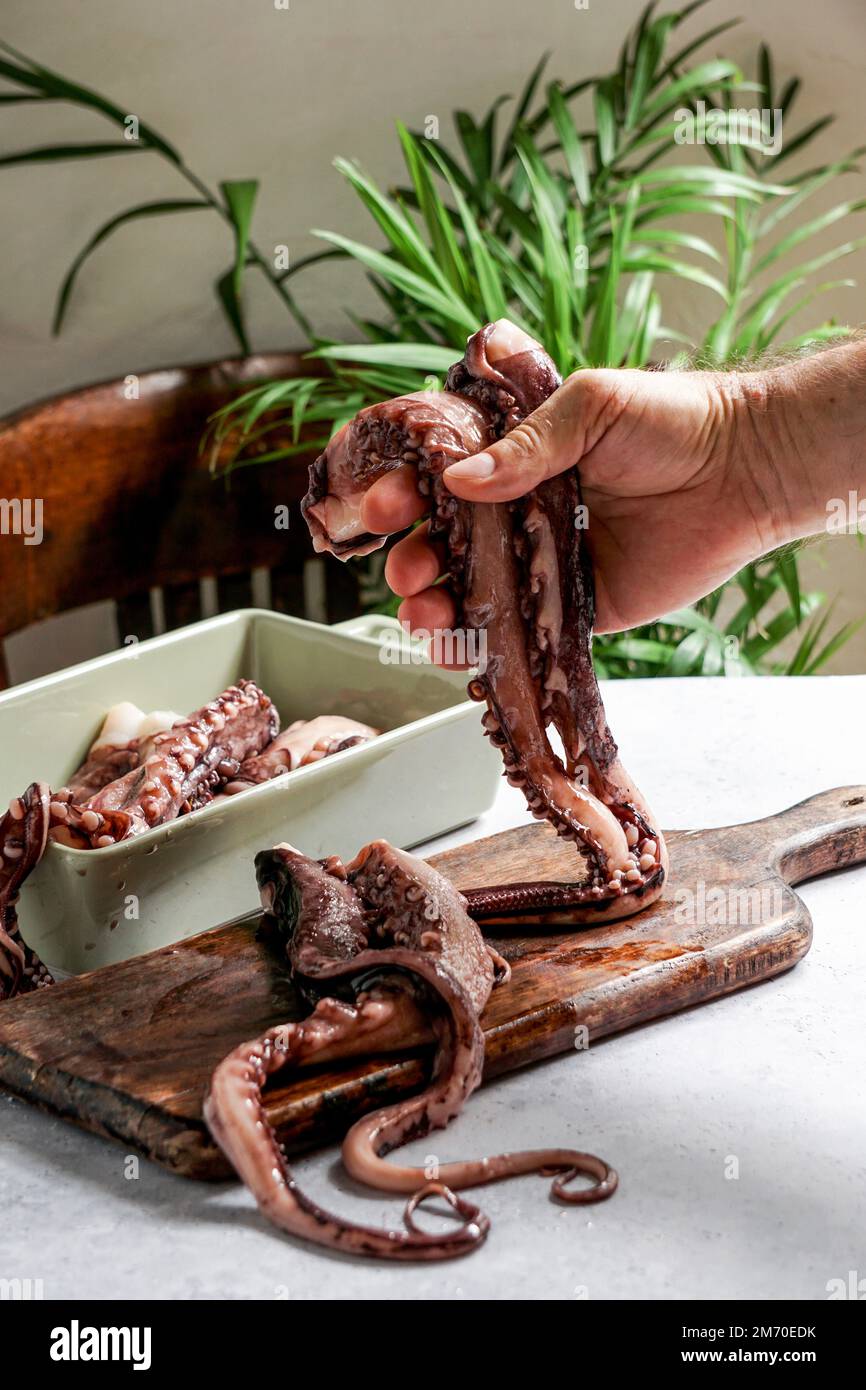 fresh octopus, holding male hands, direct sunlight Stock Photo - Alamy