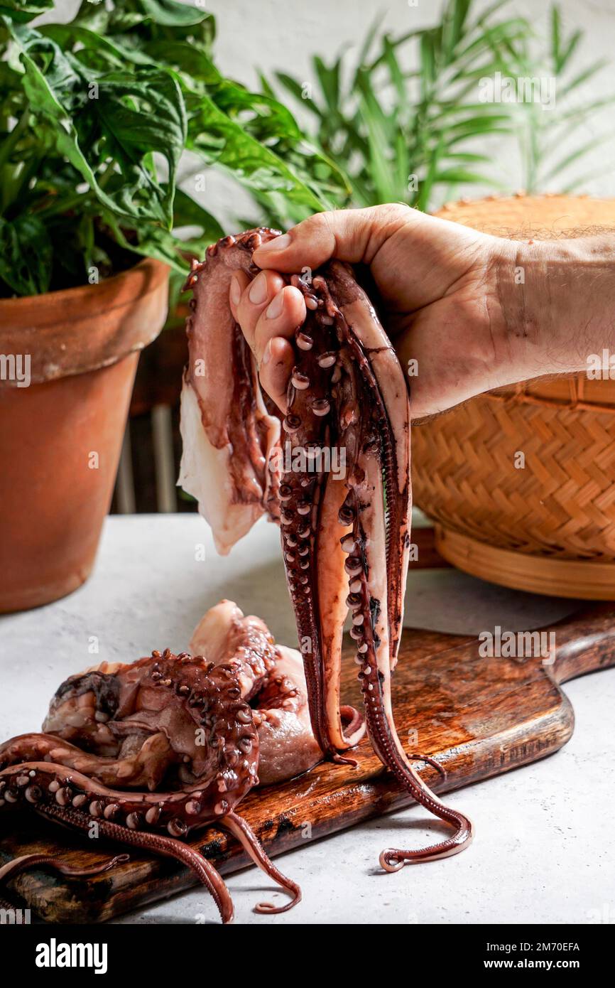 fresh octopus, holding male hands, bamboo steamer, Asian style Stock ...