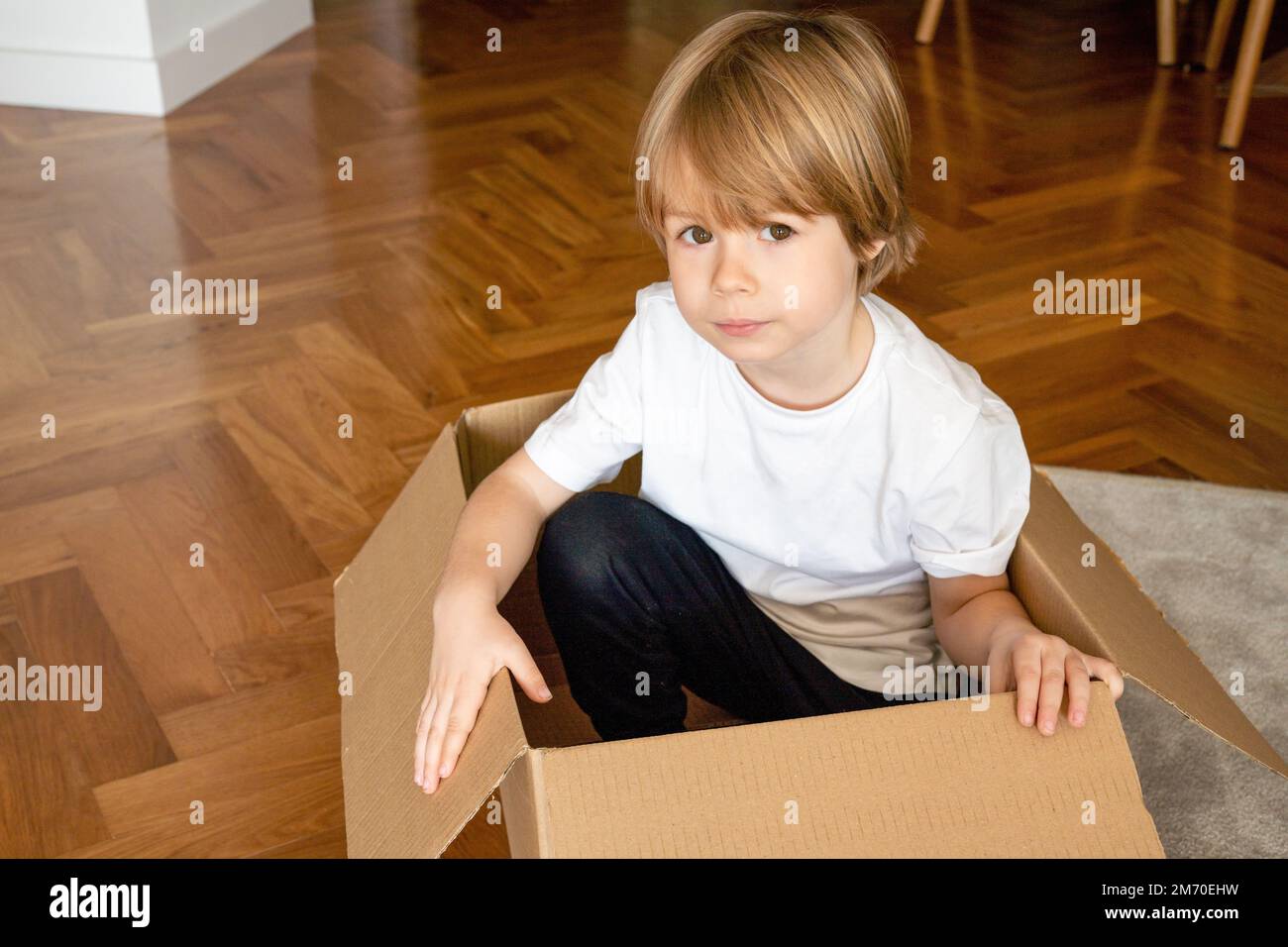Little kid boy having fun in his new home with a cardboard box Stock ...