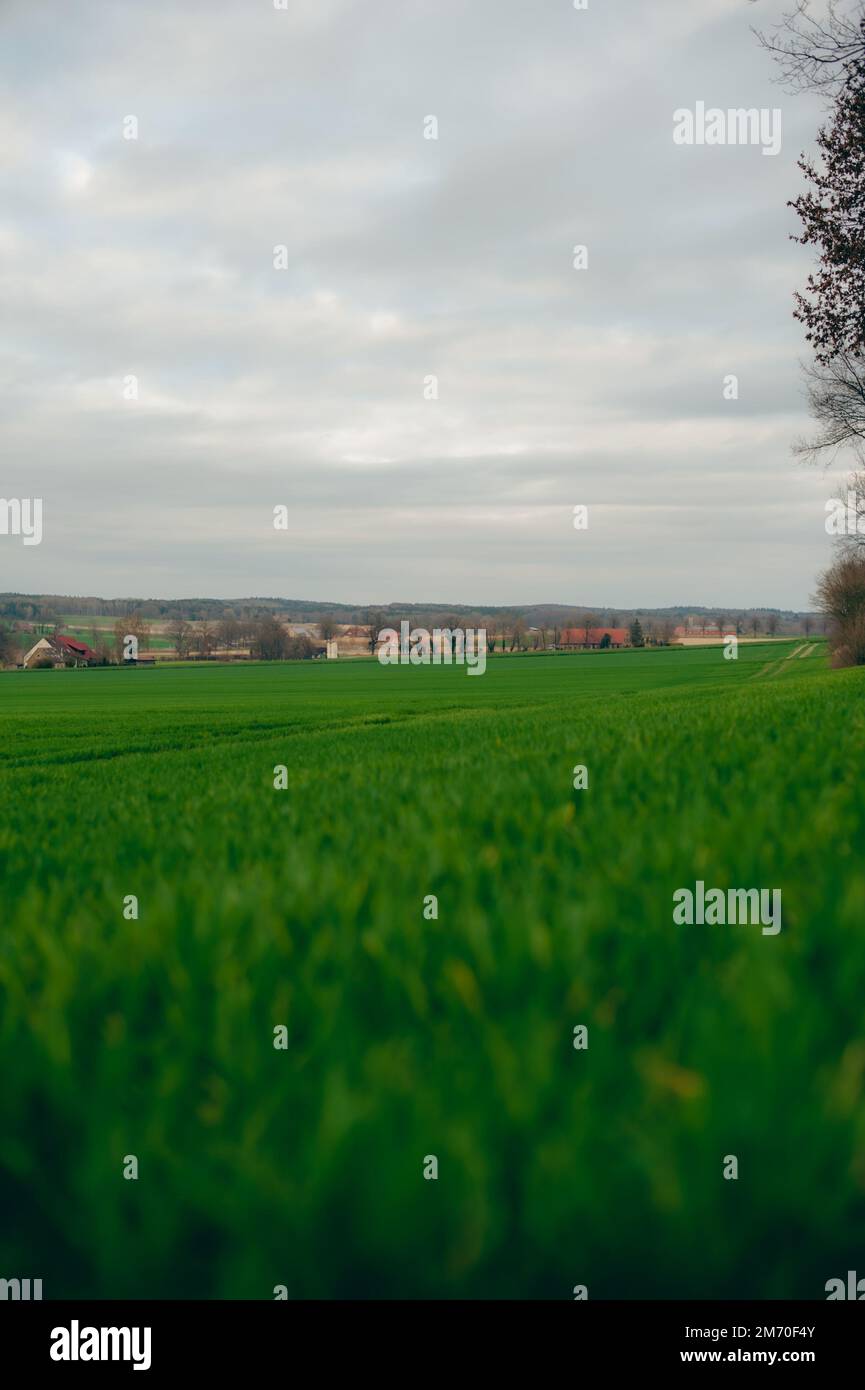 A large green field with houses on the horizon under gray sky, perfect ...