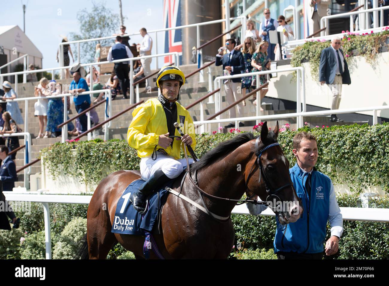 Shergar horse hi-res stock photography and images - Alamy