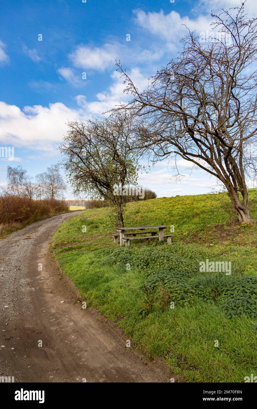Table and bench in the landscape under the trees Stock Photo - Alamy