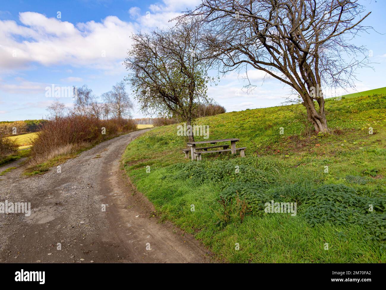 Table and bench in the landscape under the trees Stock Photo - Alamy