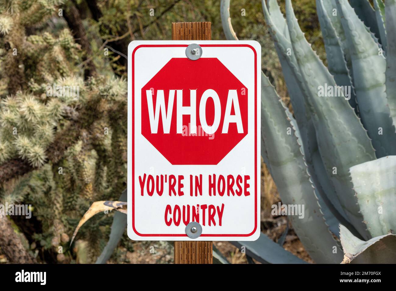 Sign that shows "Whoa...You're In Horse Country" along a trail beside a ...