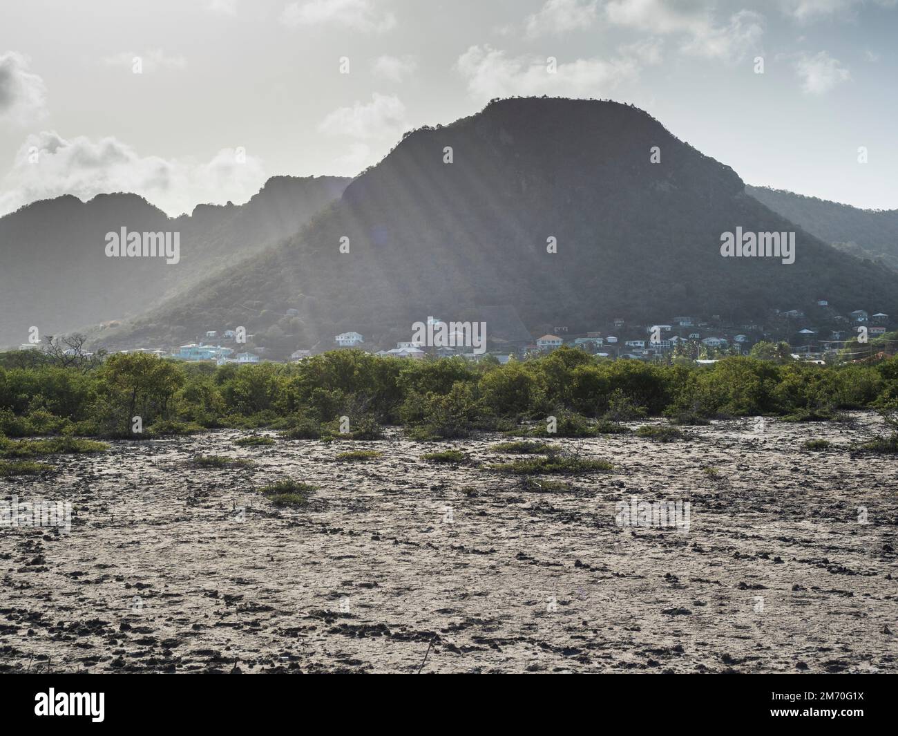 Union Island, Grenadines, Caribbean. Ashton Lagoon, mangrove swamp and ...