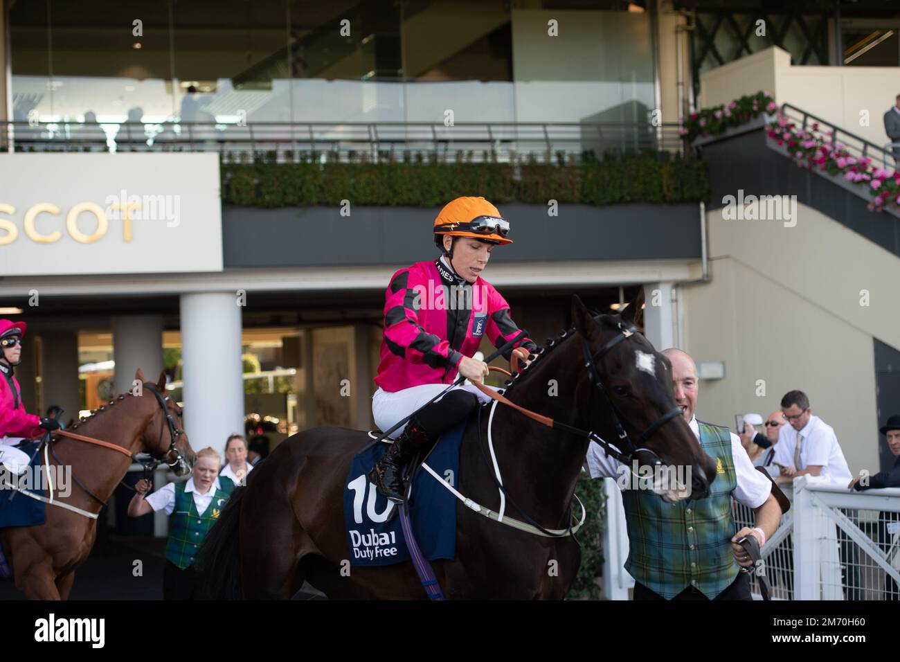 Jayne sharp hi-res stock photography and images - Alamy