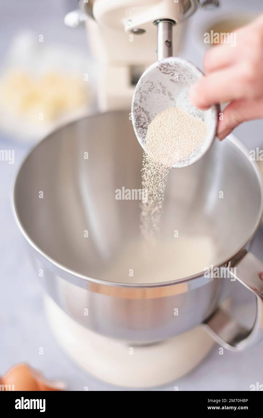 Mixing ingredients in food processor hi-res stock photography and ...